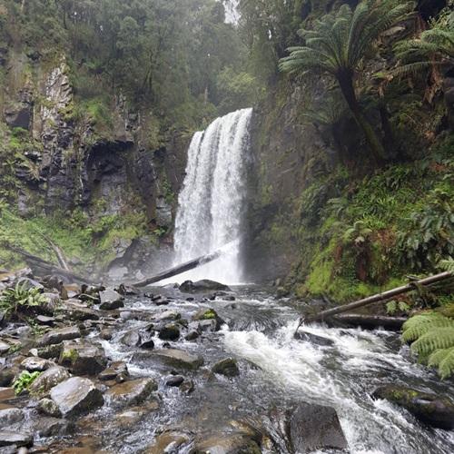 Hopetoun Falls in Great Otway National Park, Australia (Google Maps)
