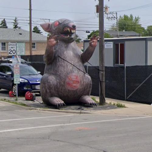 Union rat in Chicago, IL (Google Maps) (#3)
