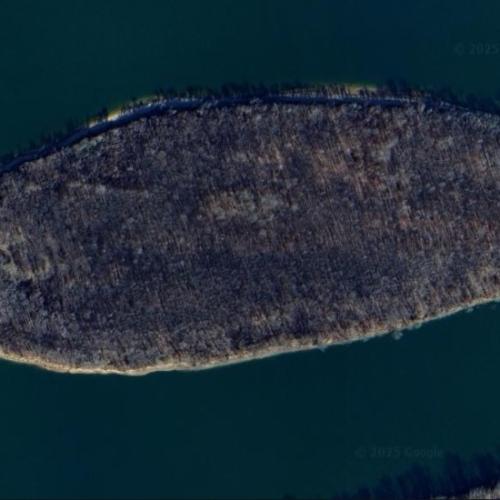 Swallow Bluff Island in Saltillo, TN (Google Maps)