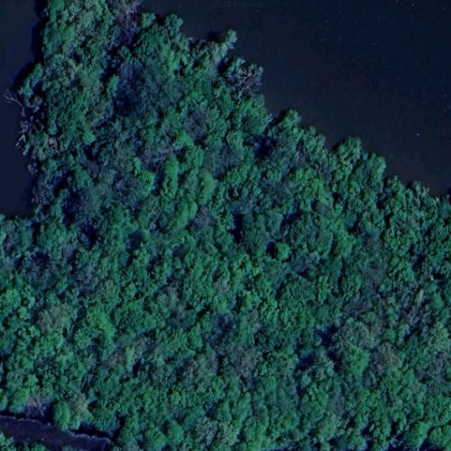 Russ Towhead in Clifton, TN (Google Maps)