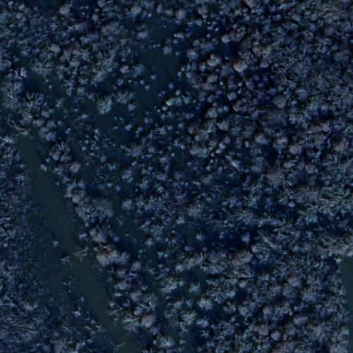 Black Pond in Morrison, TN (Google Maps) (#2)