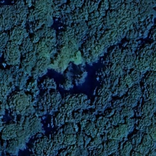 Round Pond in Whiteville, TN (Google Maps) (#4)