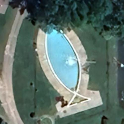 Fish-shaped swimming pool in Lenoir City, TN (Google Maps)