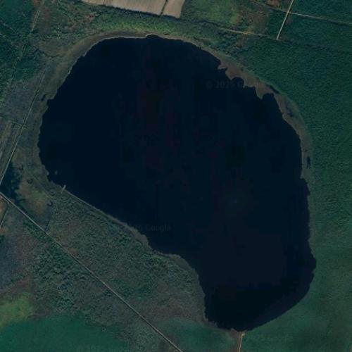 Pungo Lake in Wenona, NC - Virtual Globetrotting