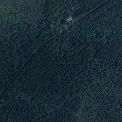 Beech Island in Pireway, NC (#2) - Virtual Globetrotting
