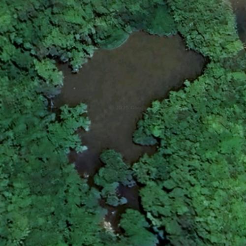 Airai Lake in Airai, Palau - Virtual Globetrotting