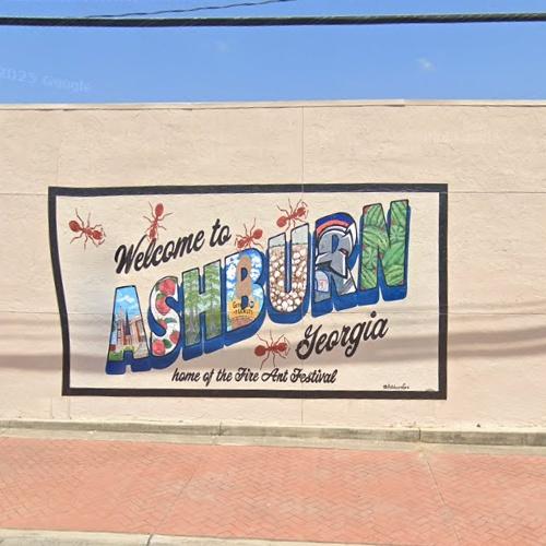 Welcome to Ashburn, Georgia in Ashburn, GA (Google Maps)
