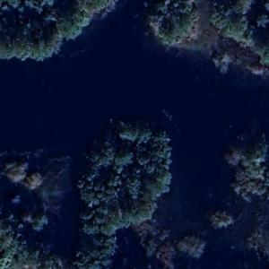 Austin Pond in Oaky, GA - Virtual Globetrotting