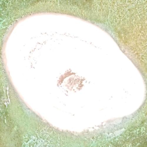 Meama Island in Nomuka, Tonga (Google Maps)