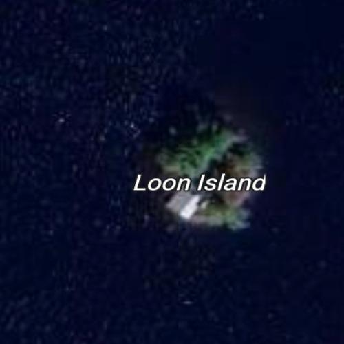 Loon Island (smallest island in little sebago lake archipelago) in ...