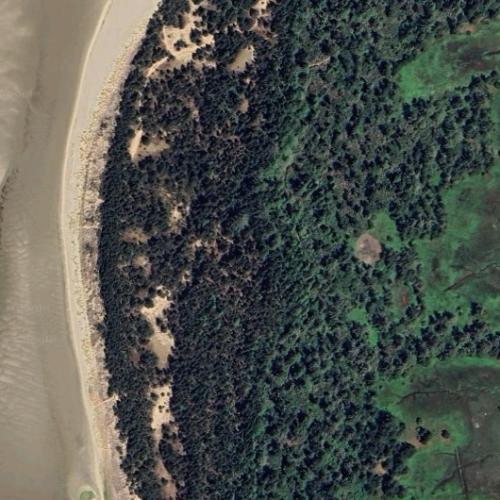 Whalen Island in Hebo, OR - Virtual Globetrotting