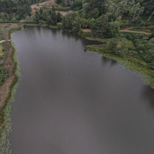 Sears Lake in Hebo, OR - Virtual Globetrotting