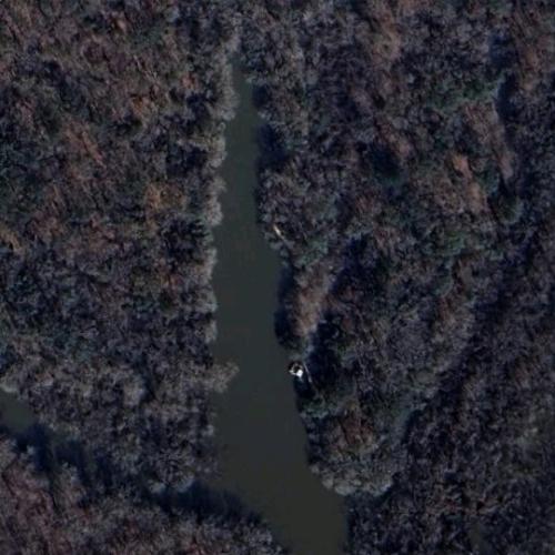 Cole Eddy in Ludowici, GA - Virtual Globetrotting