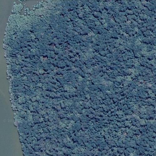 Segama Island in Sandakan, Malaysia (Google Maps)