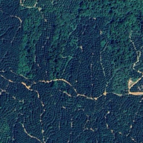 Pulau Panakit in Sandakan, Malaysia (Google Maps)