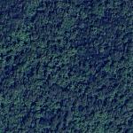 United States: Helena-West Helena - Virtual Globetrotting