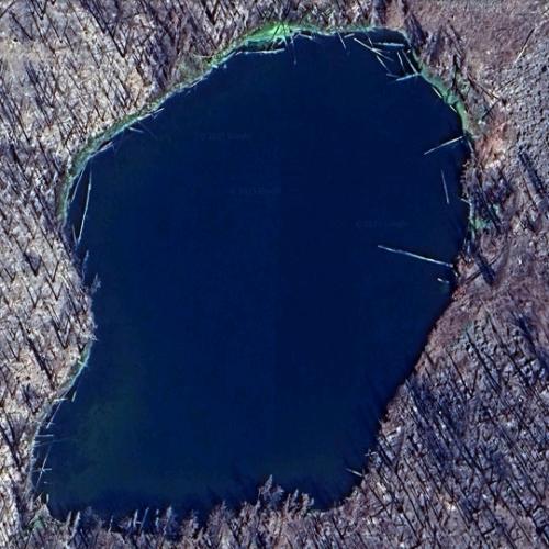 Bongo Lake in Gilchrist, OR (Google Maps)