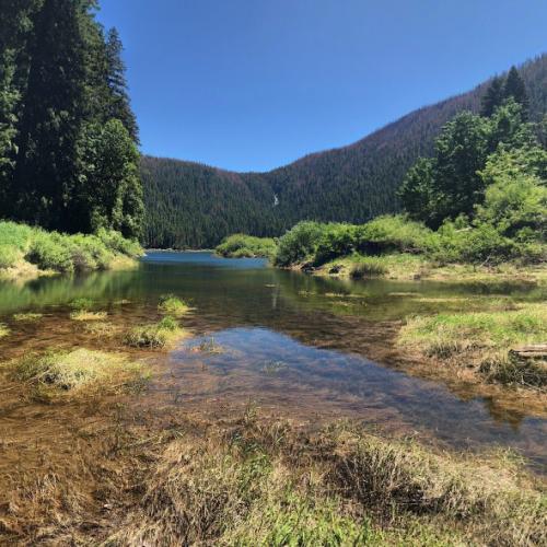 Linton Lake in Bend, OR (Google Maps)