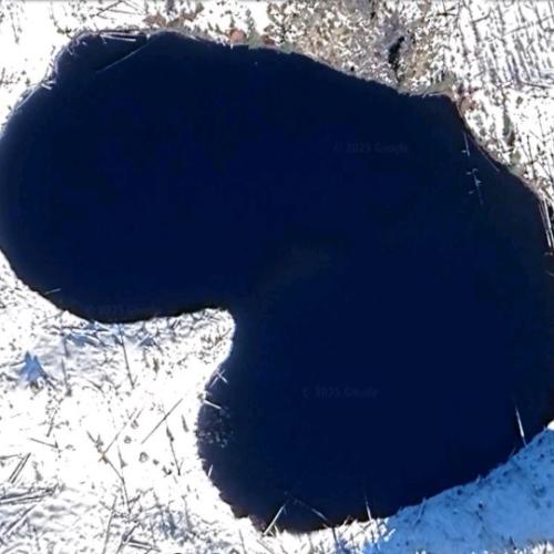 Mickey Lake in Gilchrist, OR (Google Maps) (#2)