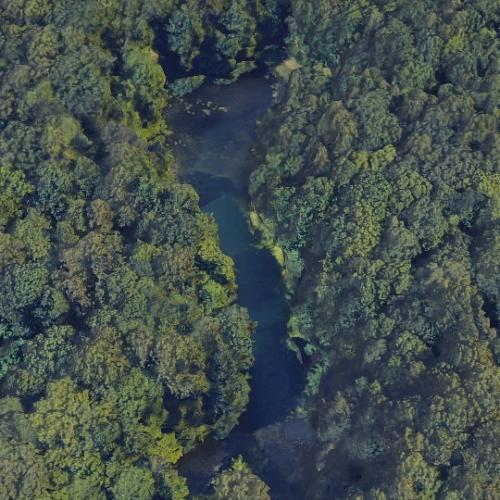 Beaver Pond in Munroe Falls, OH (#3) - Virtual Globetrotting