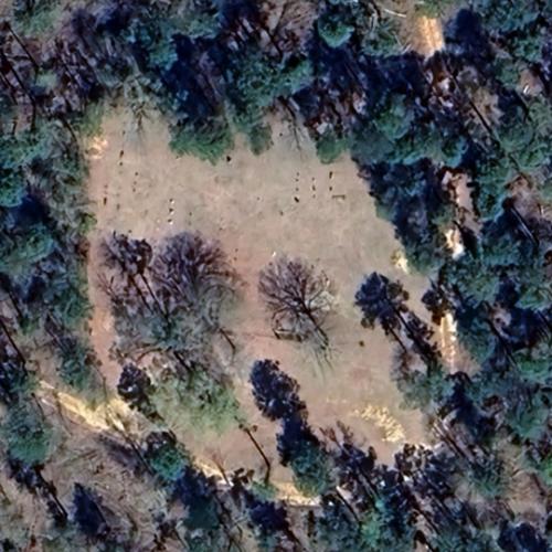 Gum Grove Cemetery in Kingsland, AR (Google Maps) (#3)
