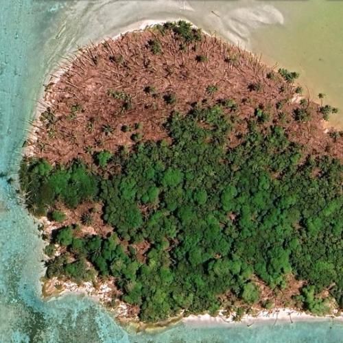 Holei Island in Palmyra Atoll, United States Minor Outlying Islands ...