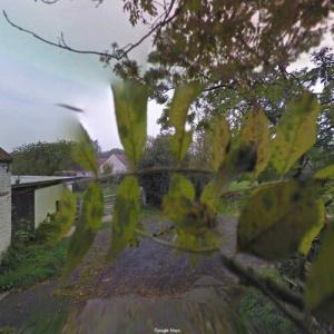 Google leaf view in Birmingham, United Kingdom - Virtual Globetrotting