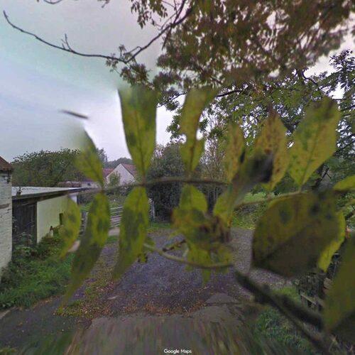 Google leaf view in Birmingham, United Kingdom - Virtual Globetrotting