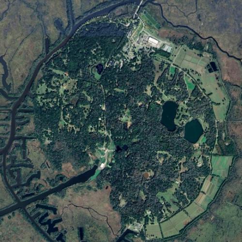 Avery Island (Louisiana) in Avery Island, LA (Google Maps)