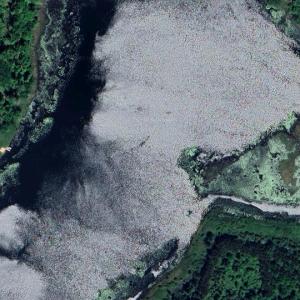 Tiff Lake in Evart, MI - Virtual Globetrotting