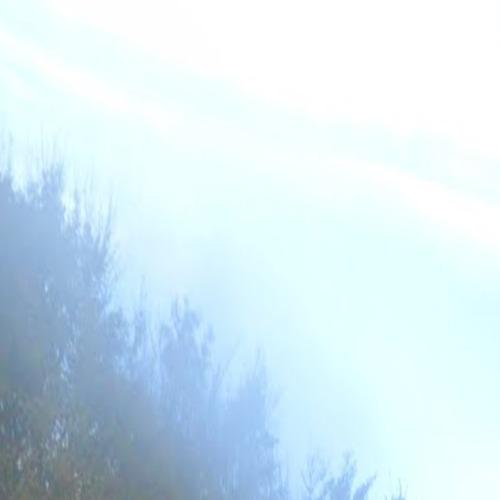 Foggy in Naas, Ireland (#2) - Virtual Globetrotting