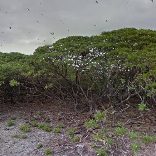 Rose Island in Rose Atoll, American Samoa (Google Maps) (#2)