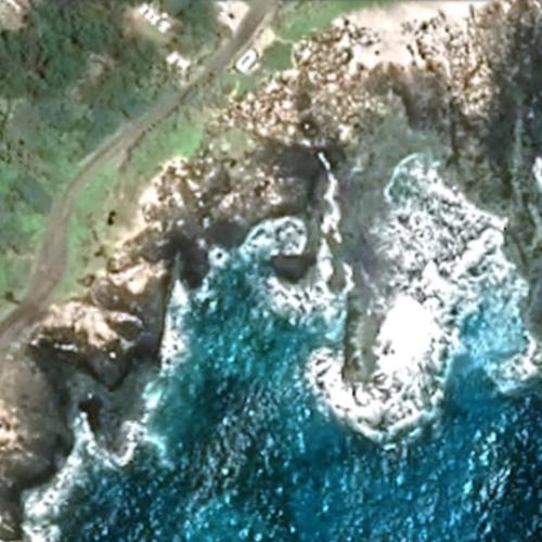 Turtle and Shark in Vaitogi, American Samoa - Virtual Globetrotting