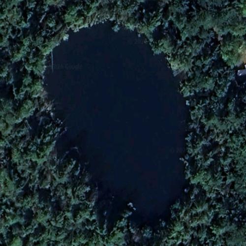 Carpenter Lake in Sherman, MI (Google Maps)