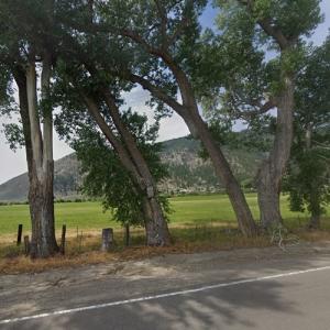 Hanging Tree - Genoa, Nevada in Genoa, NV - Virtual Globetrotting