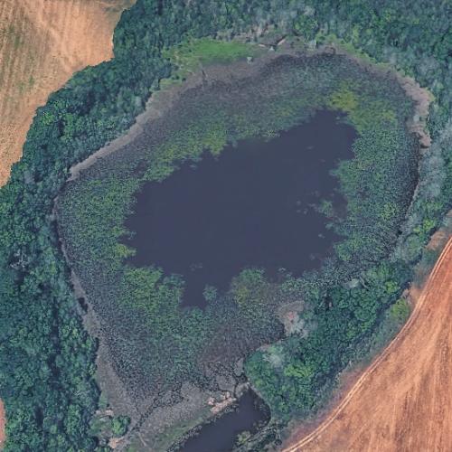 Burch Pond in Hartford, AL (Google Maps)