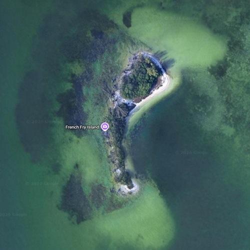 French Fry Island in South Tampa, FL (Google Maps)