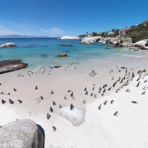 Boulders Beach in Simon's Town, South Africa - Virtual Globetrotting