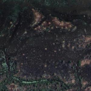Pasari Island in Wassu, Gambia - Virtual Globetrotting