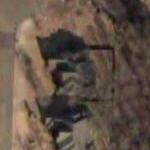 Pau Gasol's House in Germantown, TN (#2) - Virtual Globetrotting