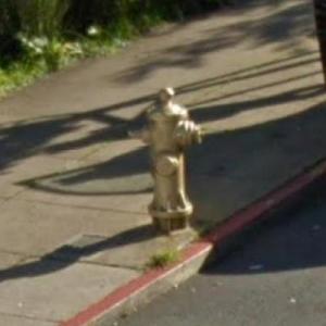Golden Fire Hydrant in San Francisco, CA - Virtual Globetrotting