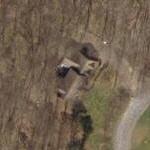 Con Hunley's House in Knoxville, TN - Virtual Globetrotting