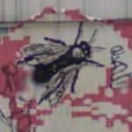 Insect graffiti in Paris, France - Virtual Globetrotting